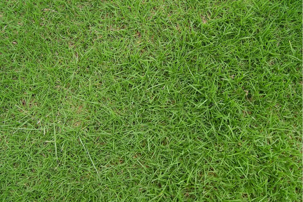 Brian Smullen CGD Blog: Materials