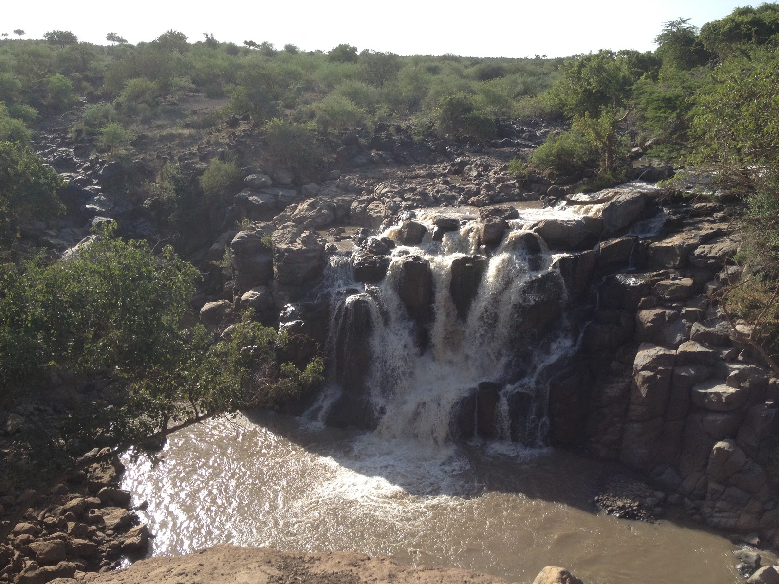 Chris Austria-Wild Animals: The Falls In Awash National Park- Ethiopia