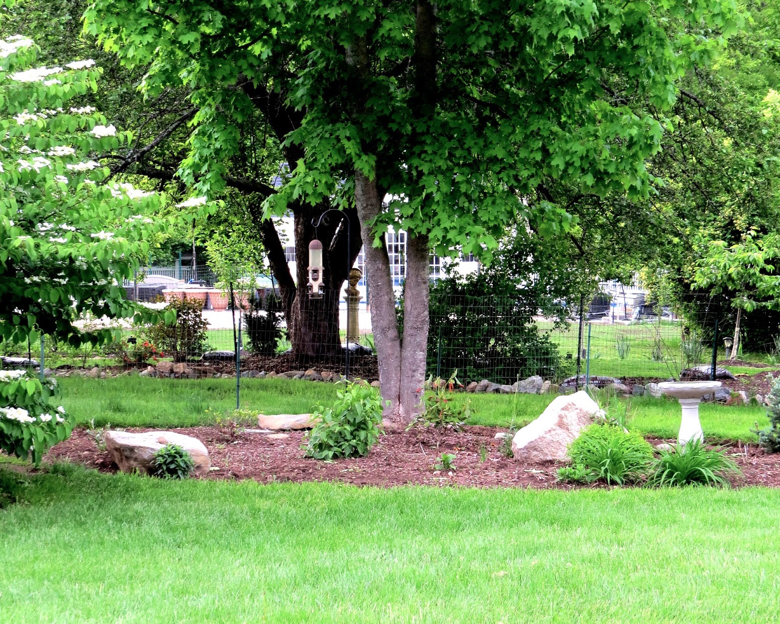 The Long Awaited Home: Our Great Big Summertime Yard Tour