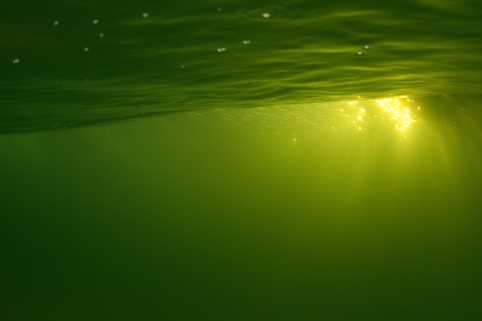 rope photography: light beneath the ocean
