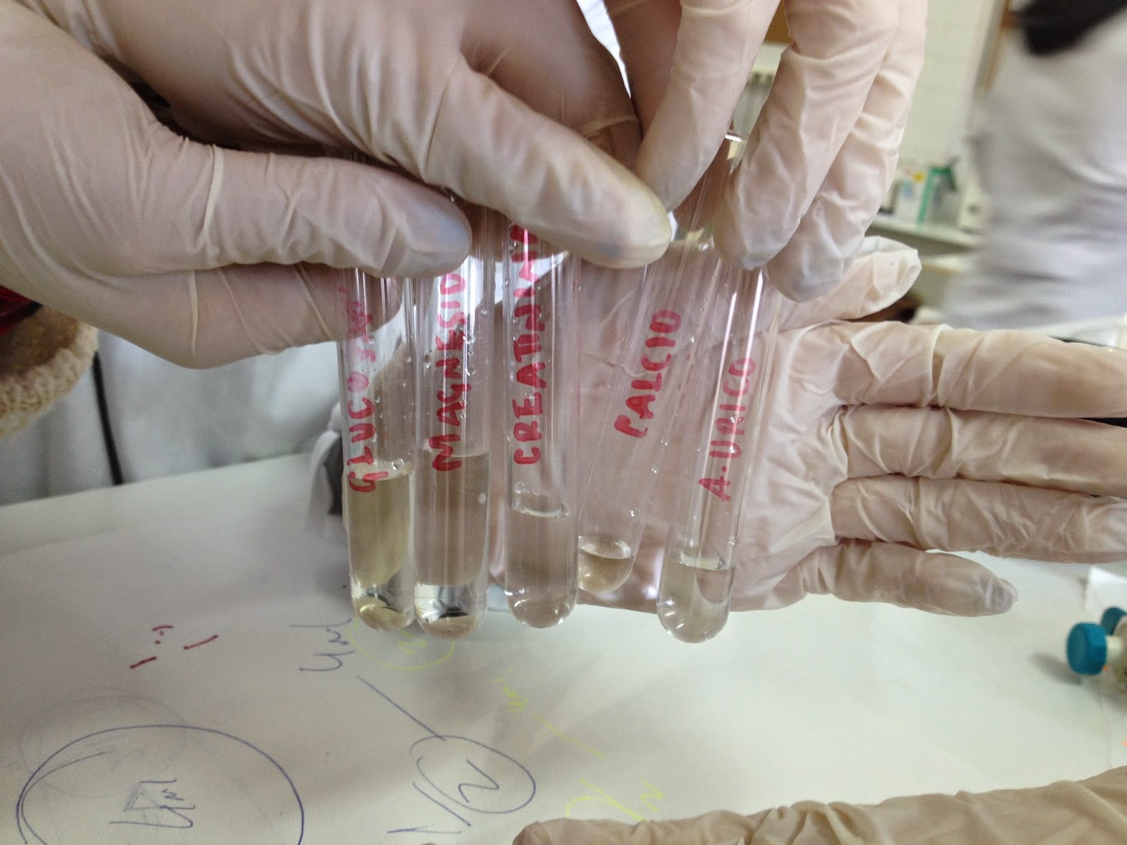 Práctica 8: DILUCION Y FACTOR DE DILUCION | Recogida, preparación y ...