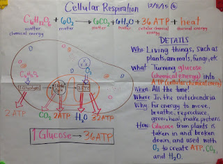 Mrs. Paul - Biology: Biology Notes/Charts 2015-2016