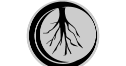 Leacuri din plante medicinale: PIRUL – buruiana vindecatoare!