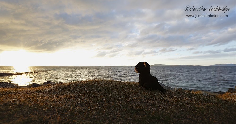 Wanstead Birder: Birding places