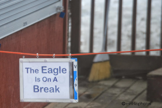 my Heritage Happens in Photos: Juneau, Alaska ~ Raptor Center