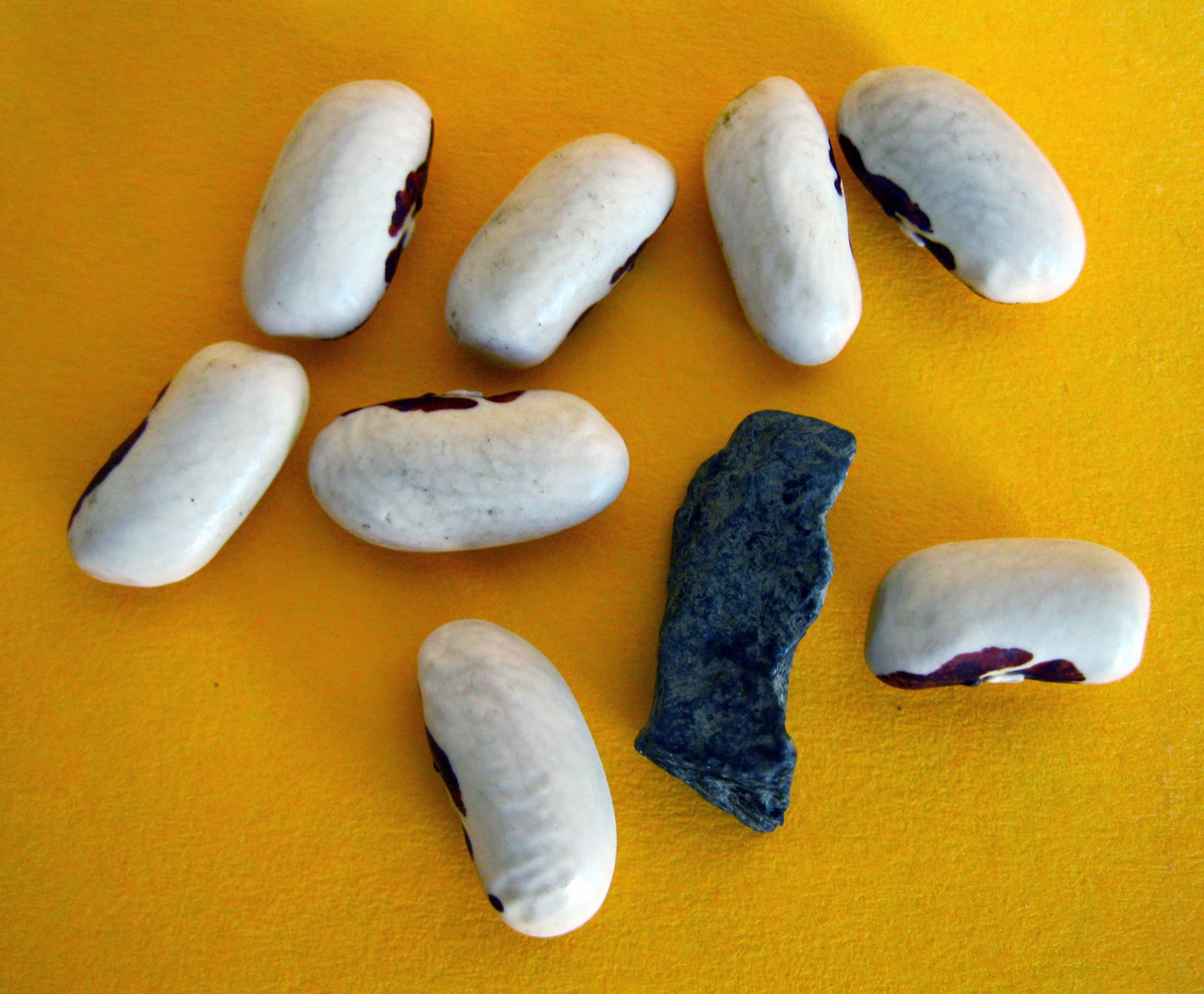 WENDY WATSON'S BLOG: A STONE IN THE BEANS