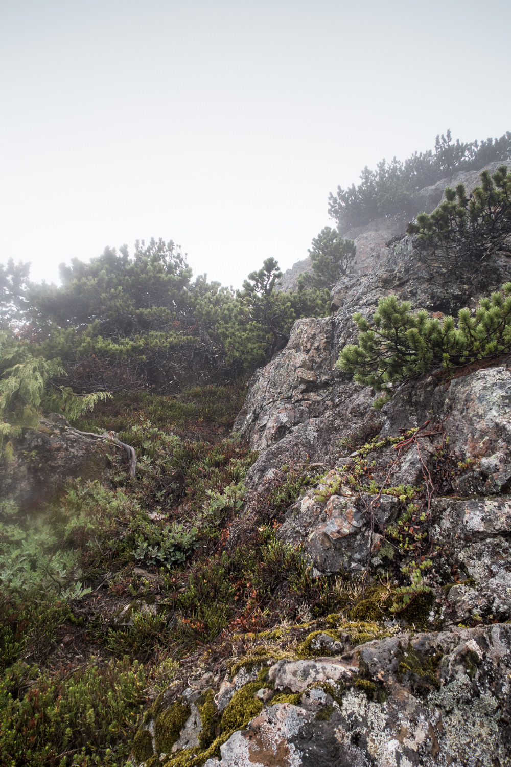 Climbing Mount Kitchener and the High Point on the Ridge - Explorington