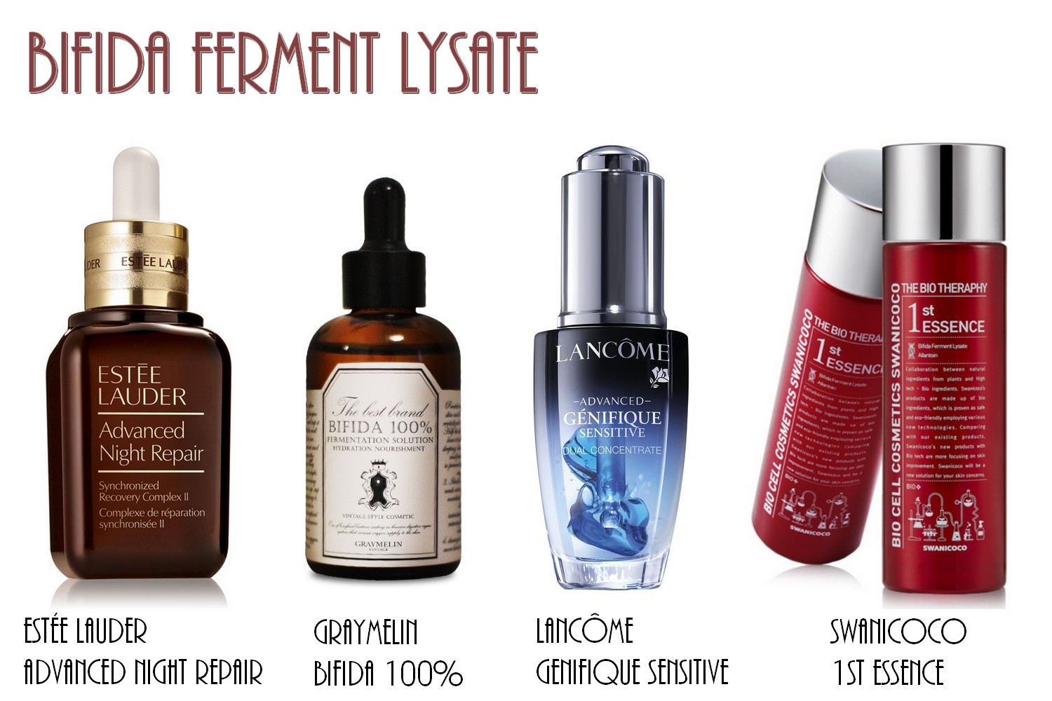 Ingredient Focus : Bifida Ferment Lysate ft. Swanicoco FTE ...