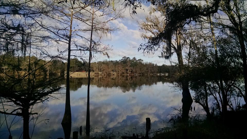 Melissas Homeschool Blog: Bird Watching at Andrews Wildlife Management Area