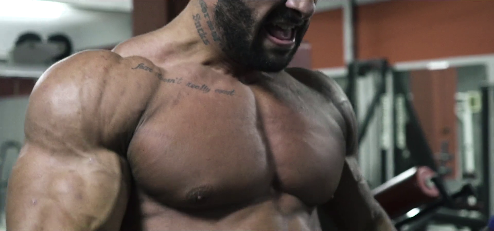 Muscle Lover: Greek Super-Heavyweight bodybuilder Thanos Alibakis