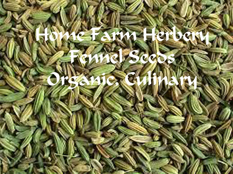 The Art of Using Fennel : Home Farm Herbery
