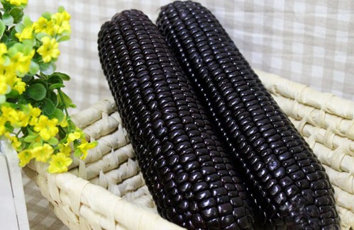 CornHub: Big Black Corn