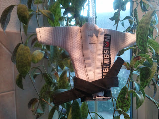 Georgette's Jiu Jitsu World: Review: the Submission Fight Co "Mini Gi ...