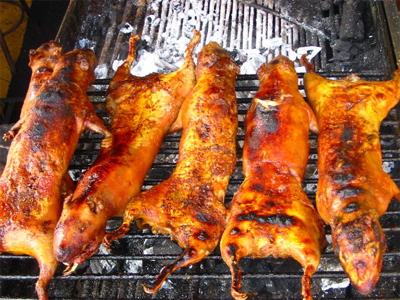 Ecuador living in paradise: Ecuador Cuisine Guinea Pig also known as cuy!