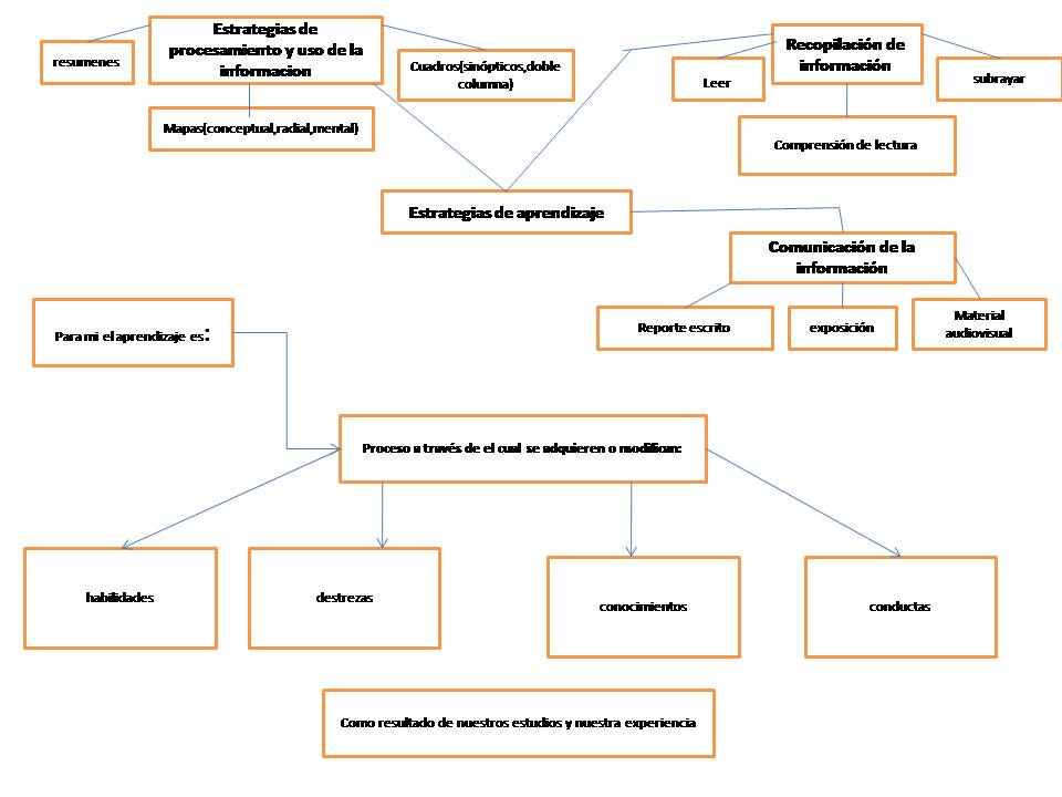 diagrama radial de aprendizaje: diagrama radial de aprendizaje