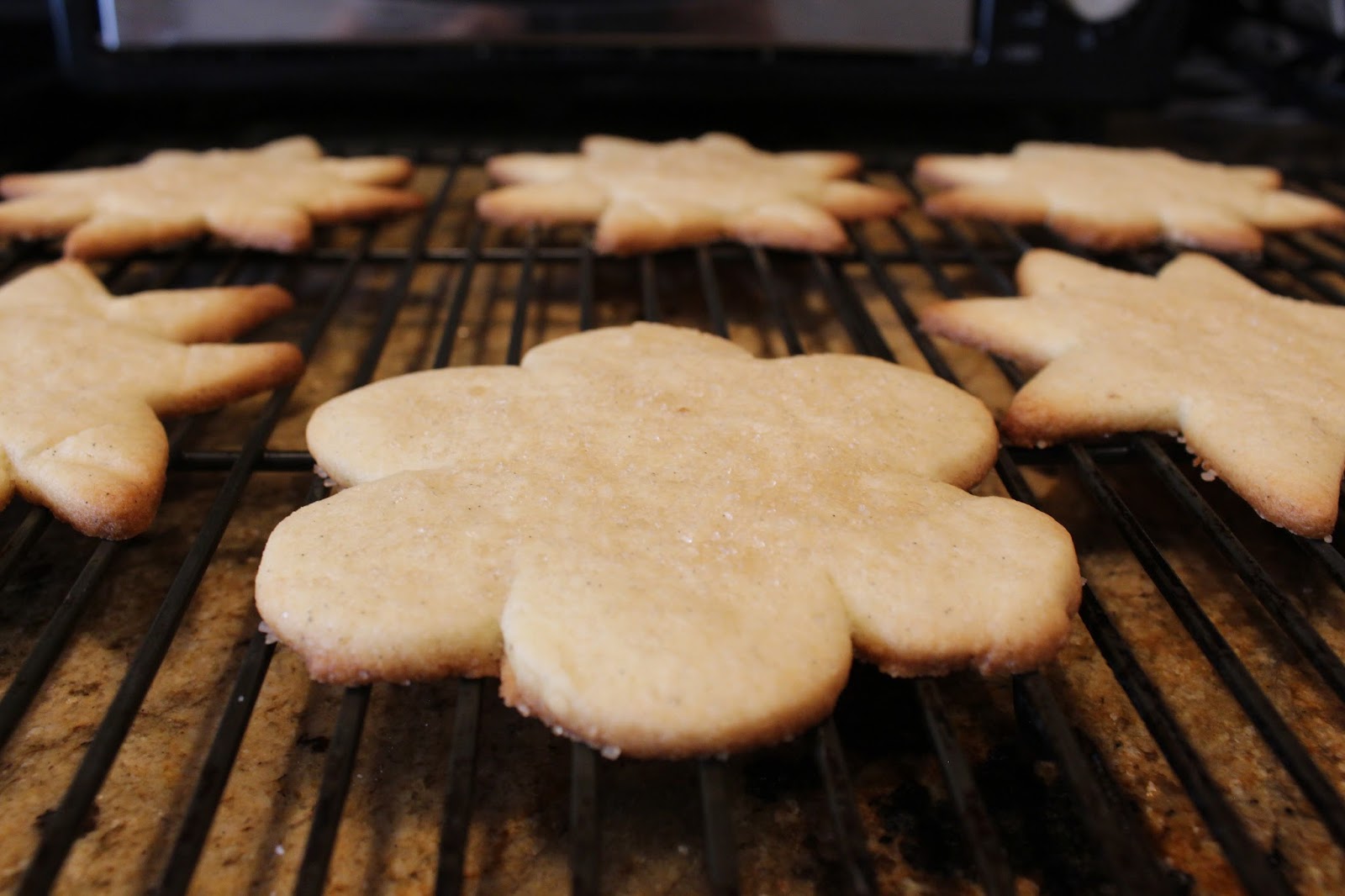 The Philadelphia Baking Experiment: Cookies Please...