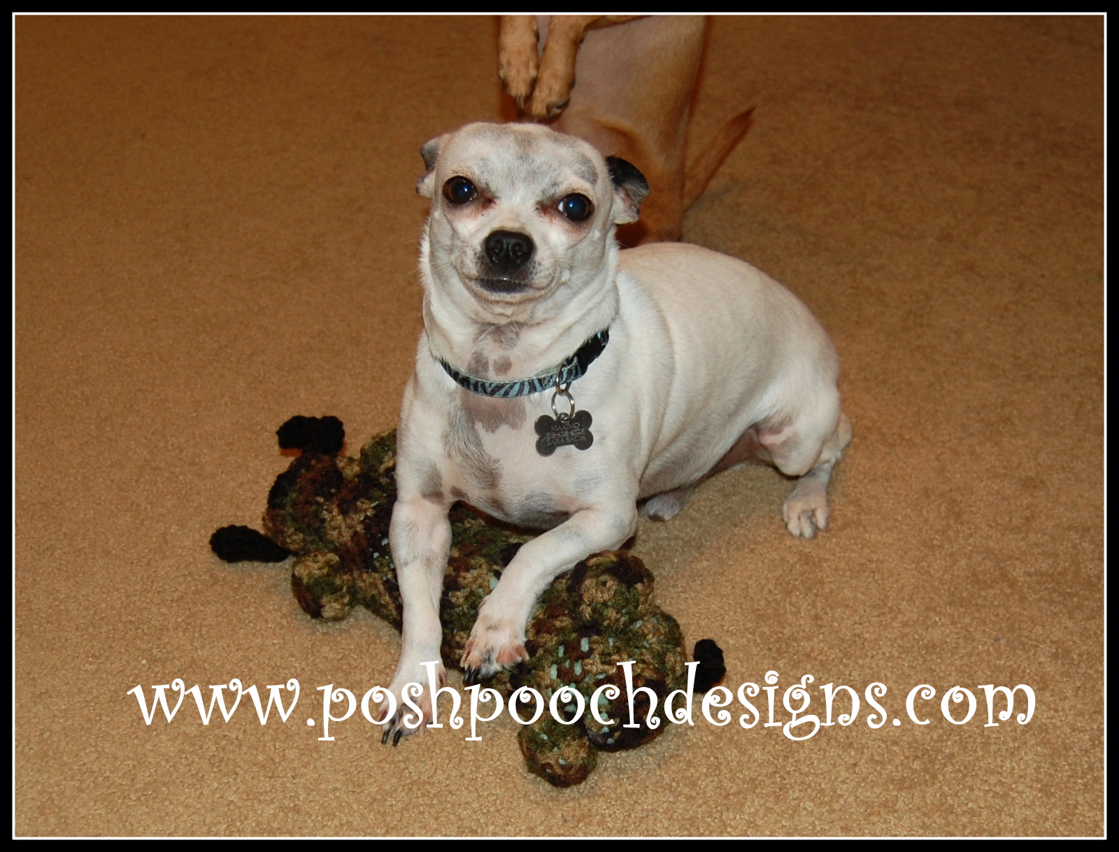 Posh Pooch Designs : Dog Woobie Crochet Pattern