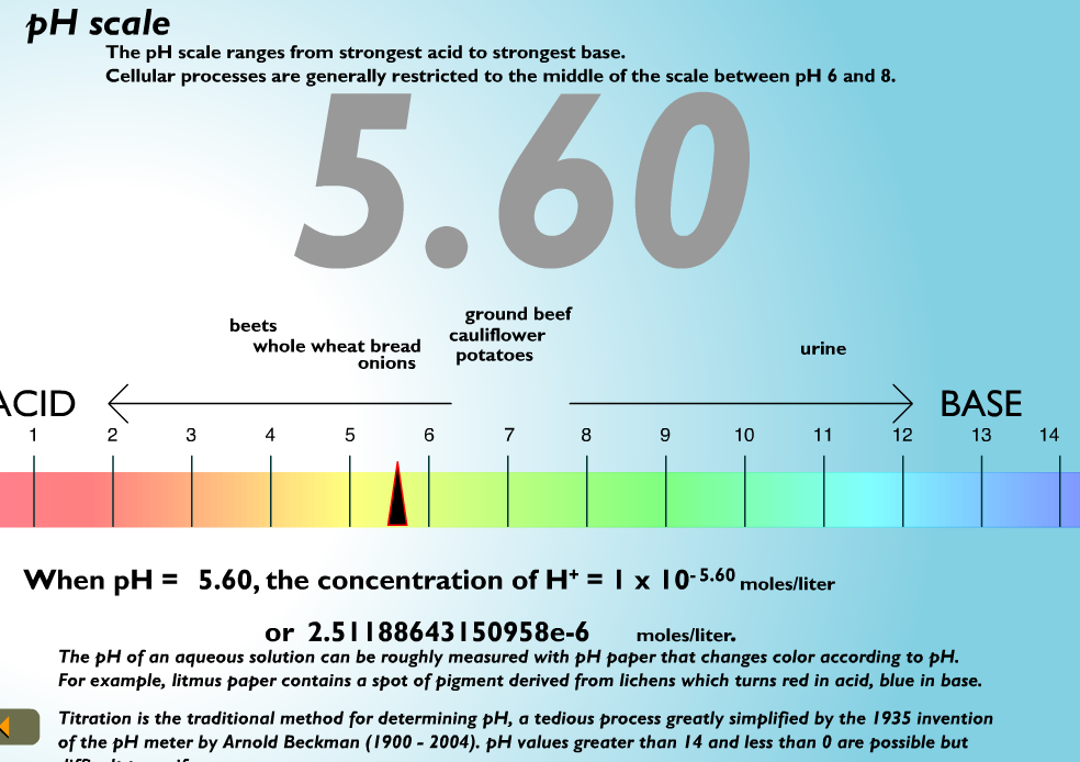 Χαρκοπλιάς Κώστας Χημικός: Γ΄ Λυκείου: pH-Kw