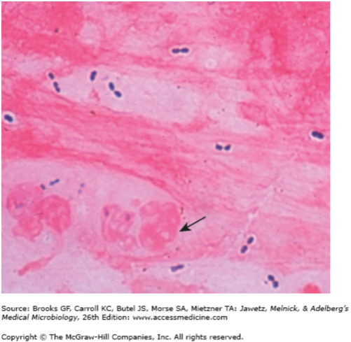 CCC Medical Education: May 2014
