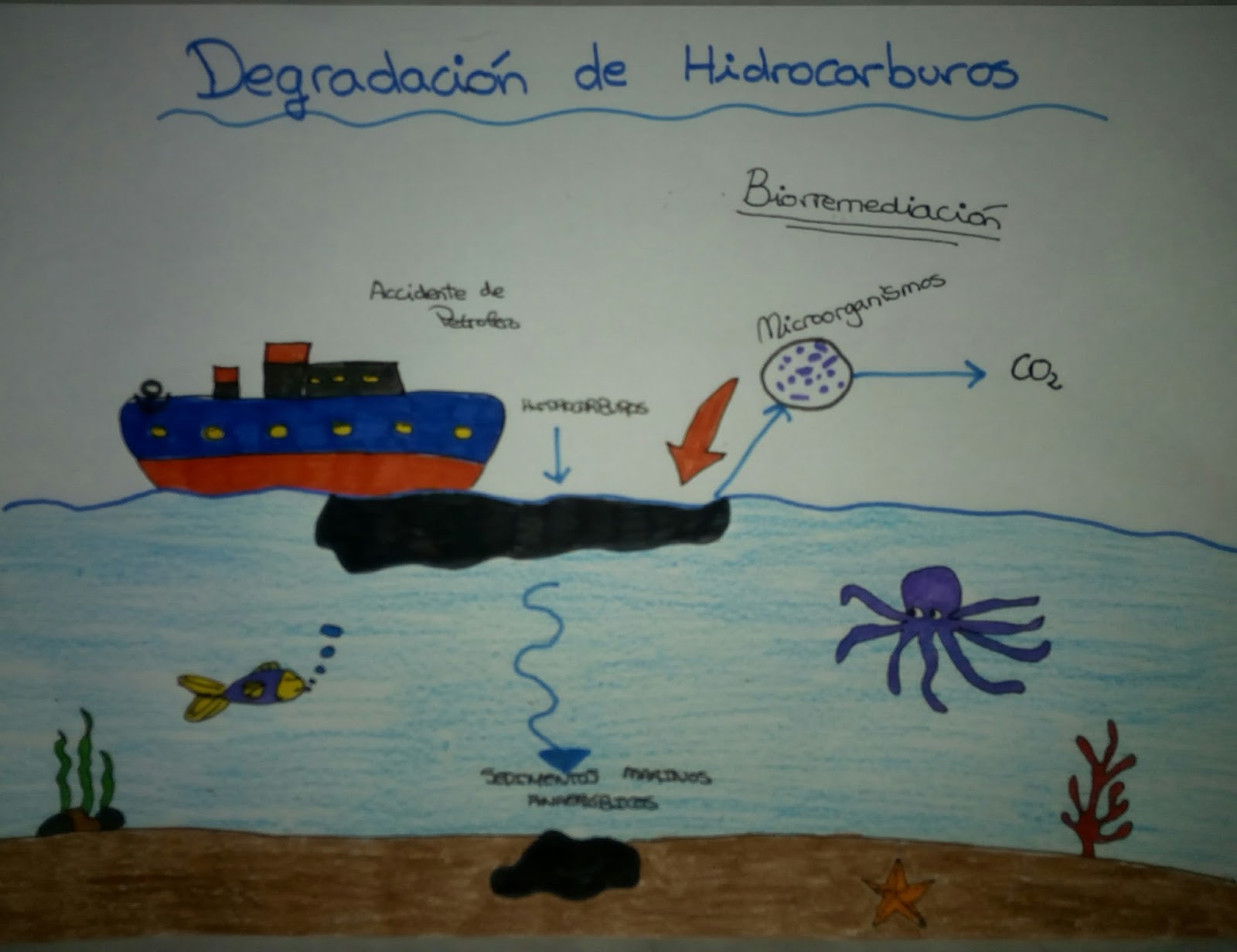 Biologia: Degradación de Hidrocarburos Biologia: Degradación de Hidrocarburos