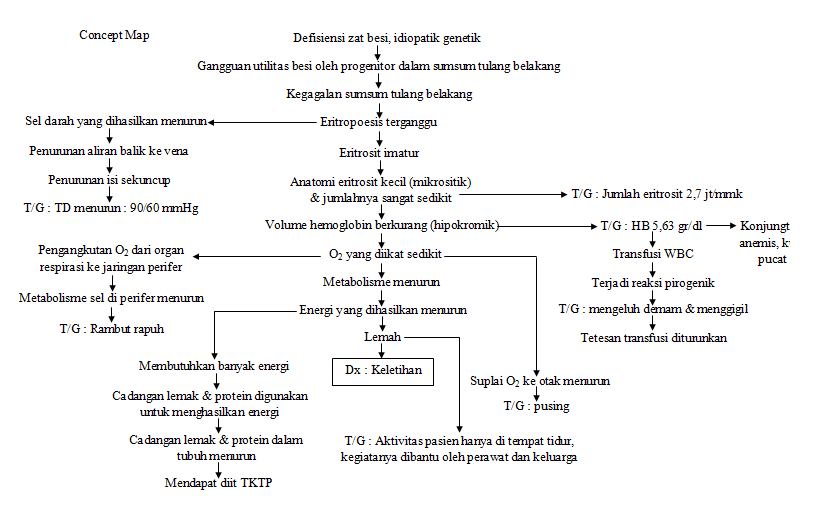 Seputar Dunia Keperawatan: PATHWAY ANEMIA