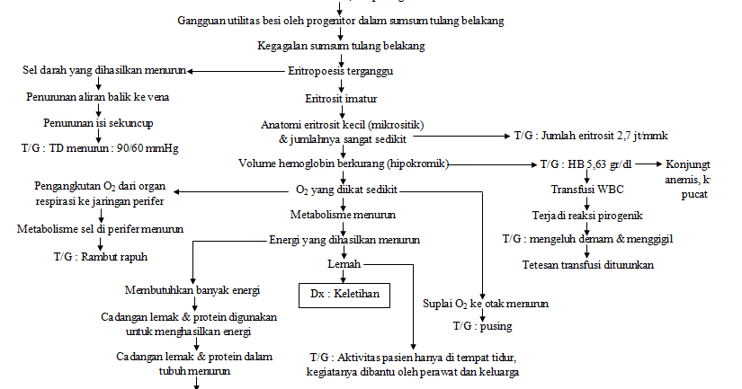 Seputar Dunia Keperawatan: PATHWAY ANEMIA