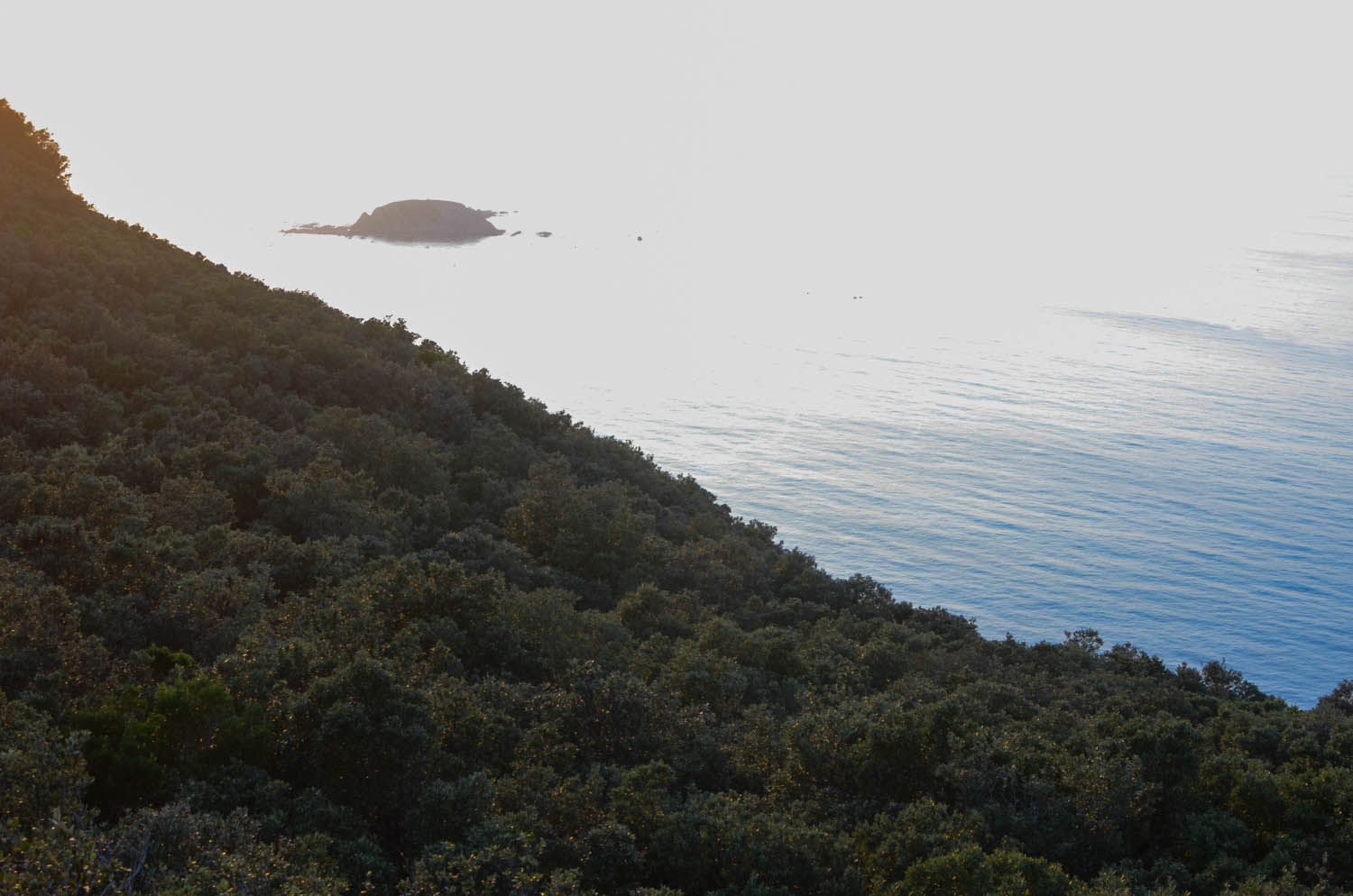 ALMANAQUE NATURAL: Los Encinares más norteños