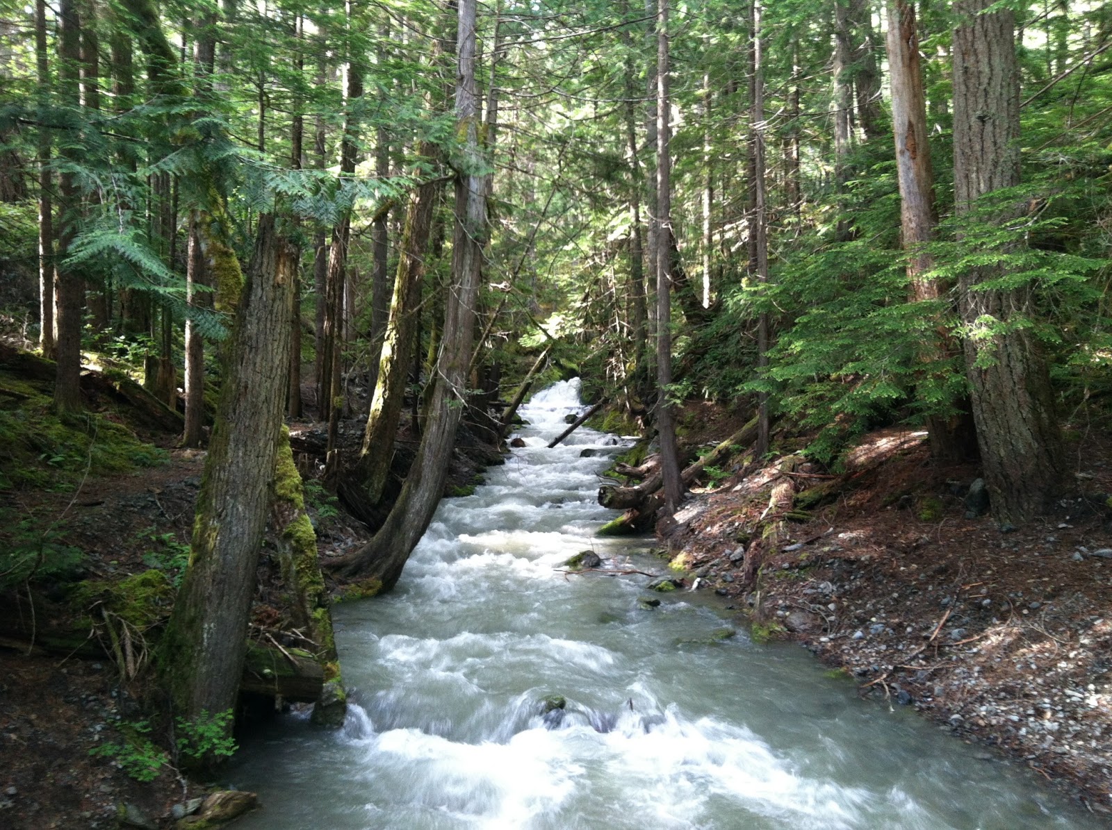Roll with the Trails: Devil's Dome-Jackita Ridge Loop