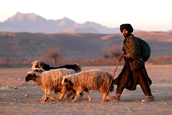 Pashtun Valley: Oruzgan Province of Afghanistan