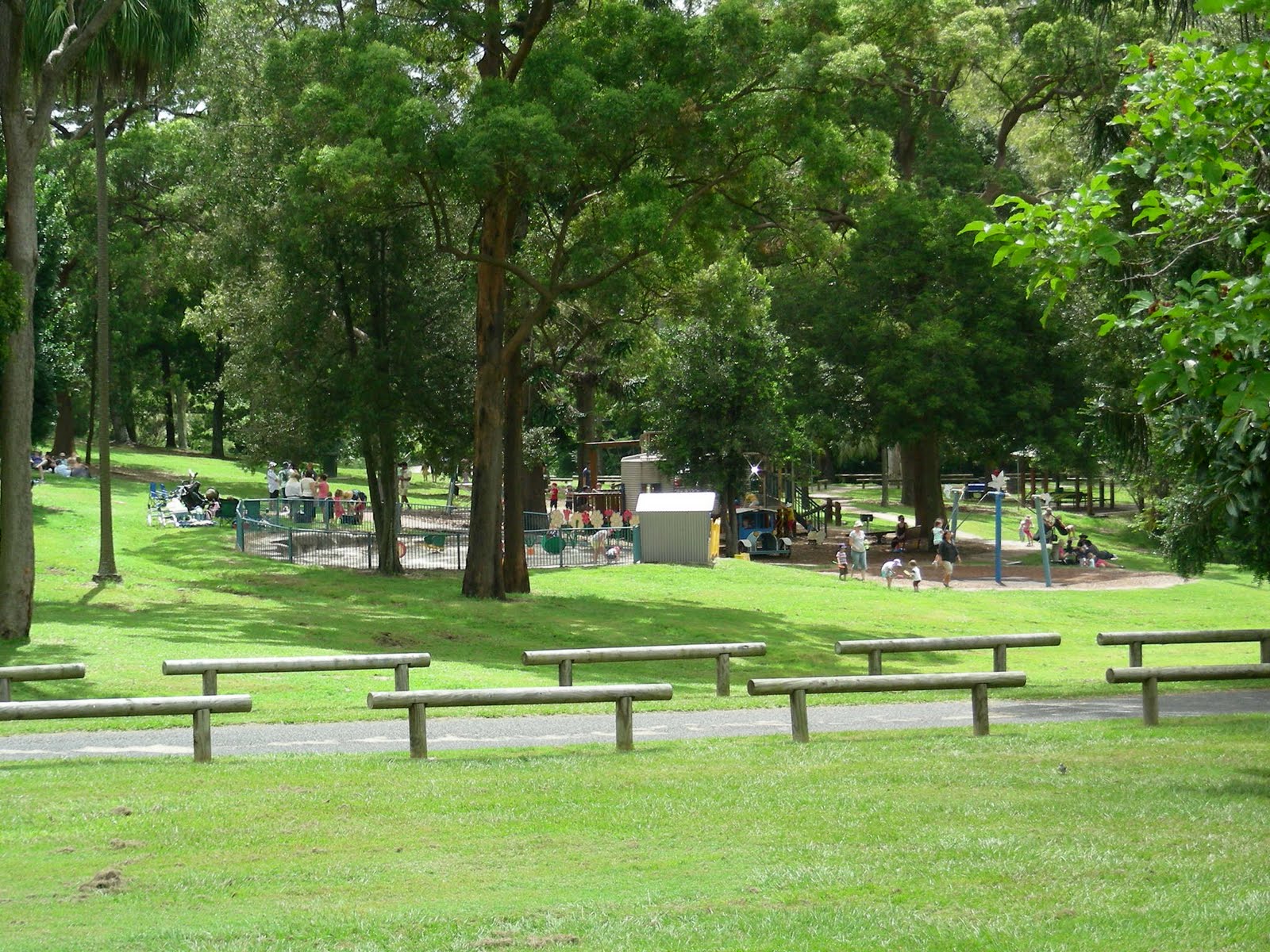 'Friends of ANZAC Park' Toowong (FAPT): ANZAC PARK PHOTOS