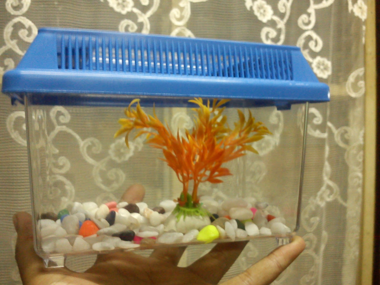 ZR AQUARIUM PETS TRADING: AQUARIUM PETAK PLASTIK KECIL