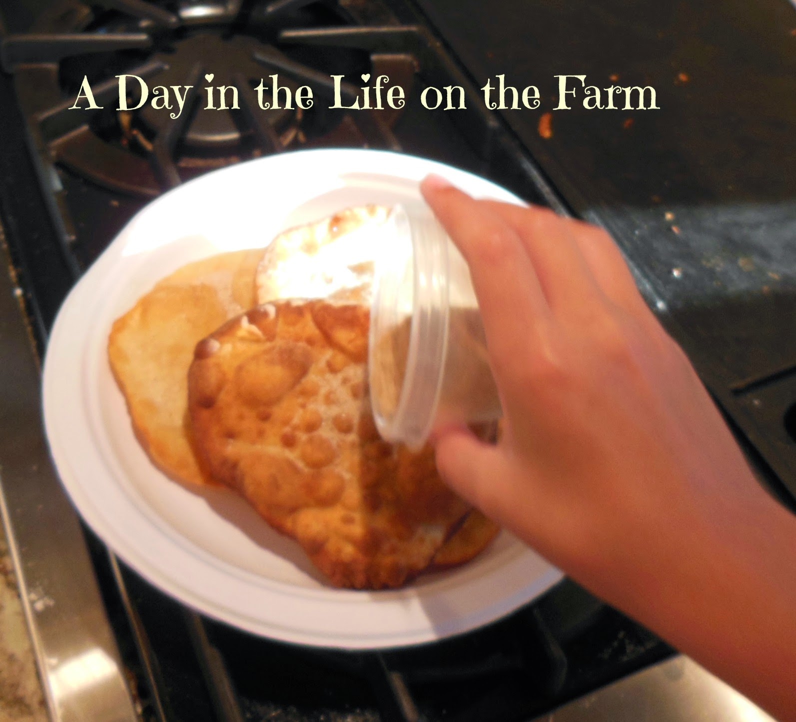 A Day in the Life on the Farm: Food n Flix-Cream Fritters ala Like ...
