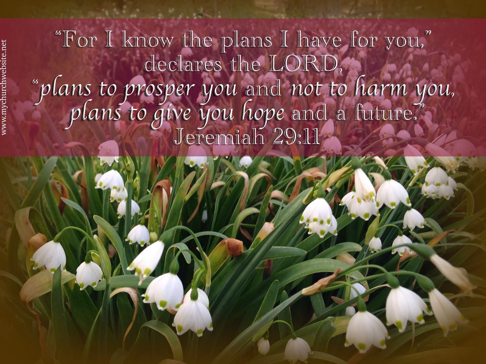 FreeChurchPics : Bible Verse Jeremiah 29:11