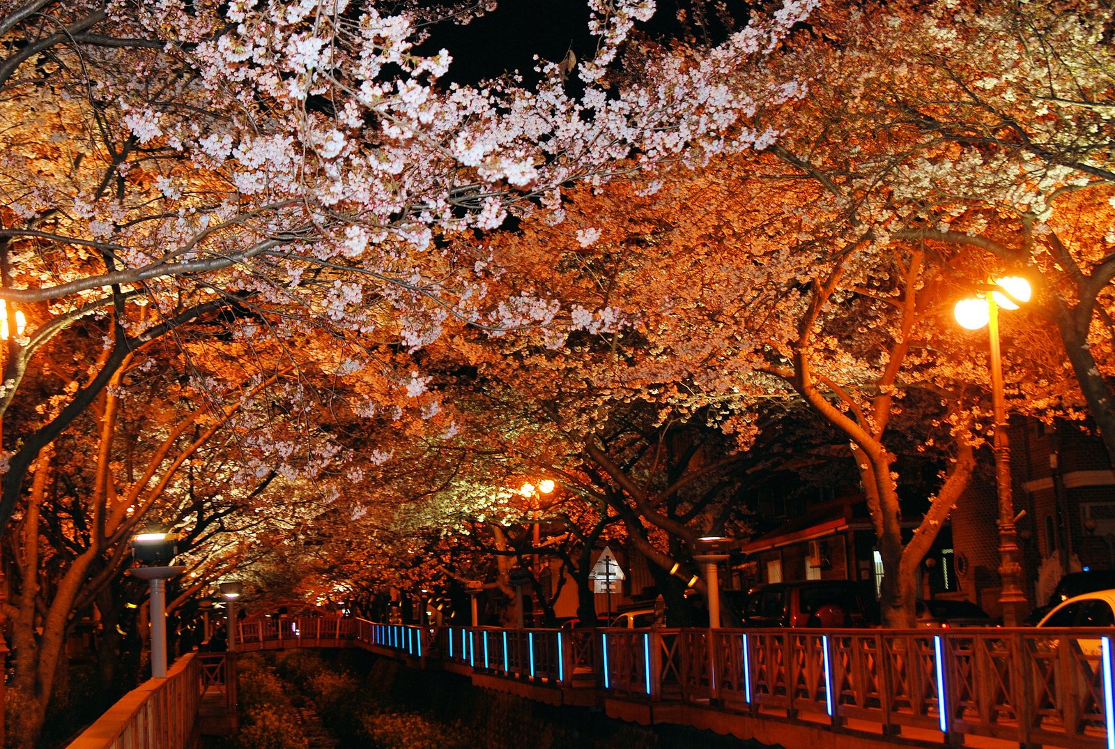 Corea del Sur: Paisajes de Corea del Sur