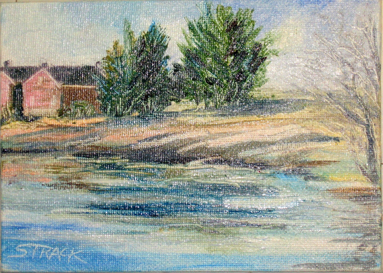 Annie Strack news: February 2013