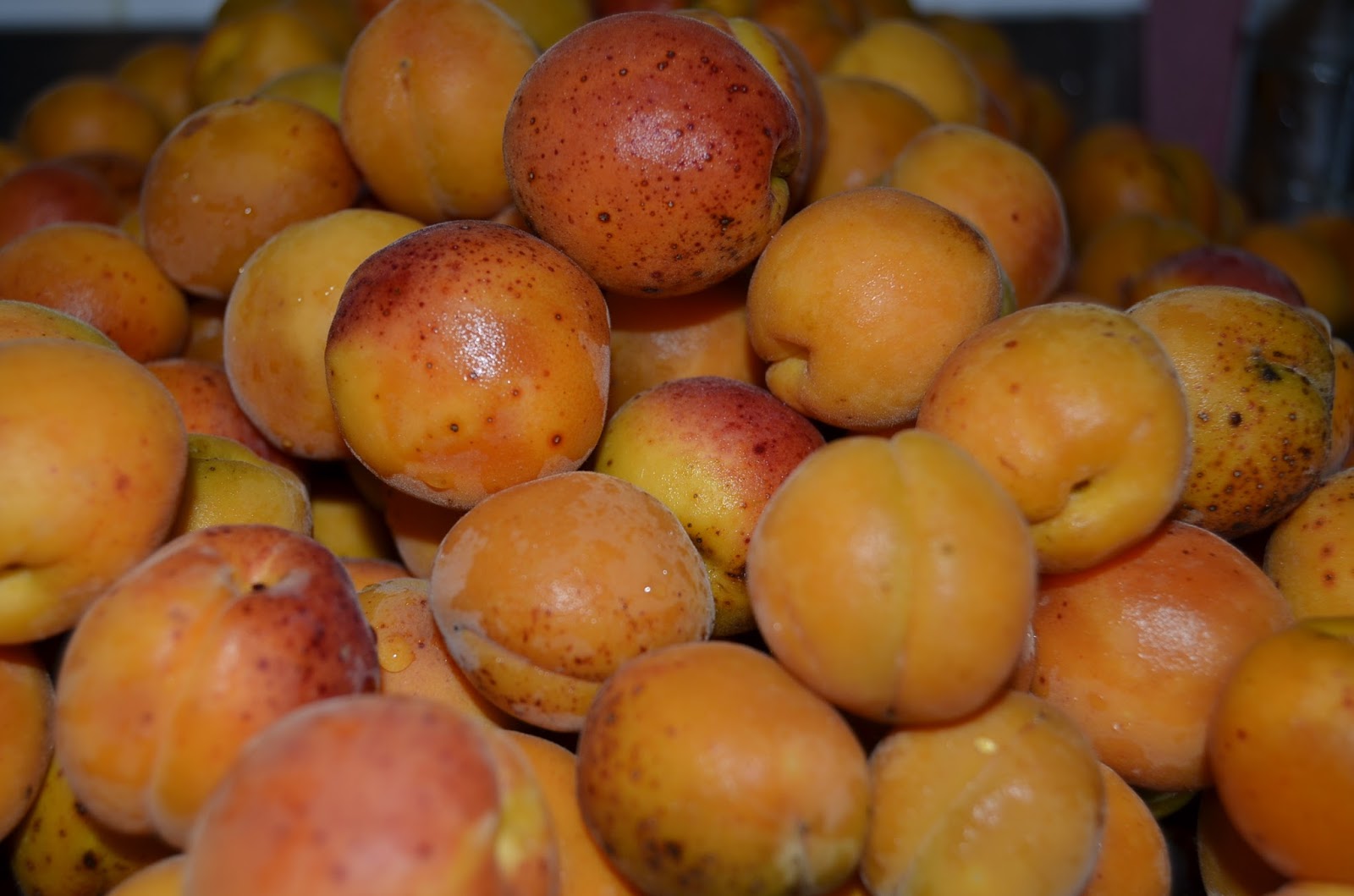 natura este viata mea: Gem de zarzari