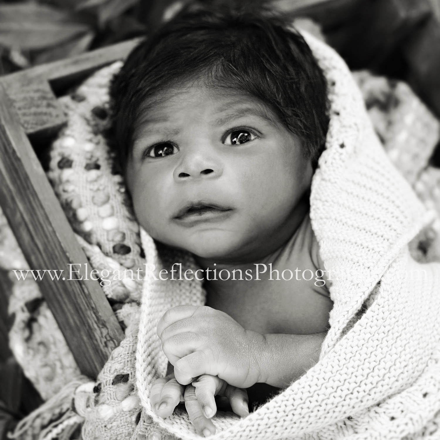 Elegant Reflections Photography and Design: Introducing Baby Braylen!
