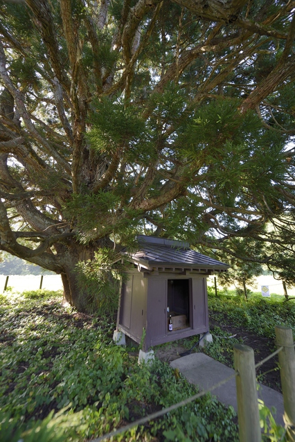 Small shrines in Japan / Hokora / Shinto concept