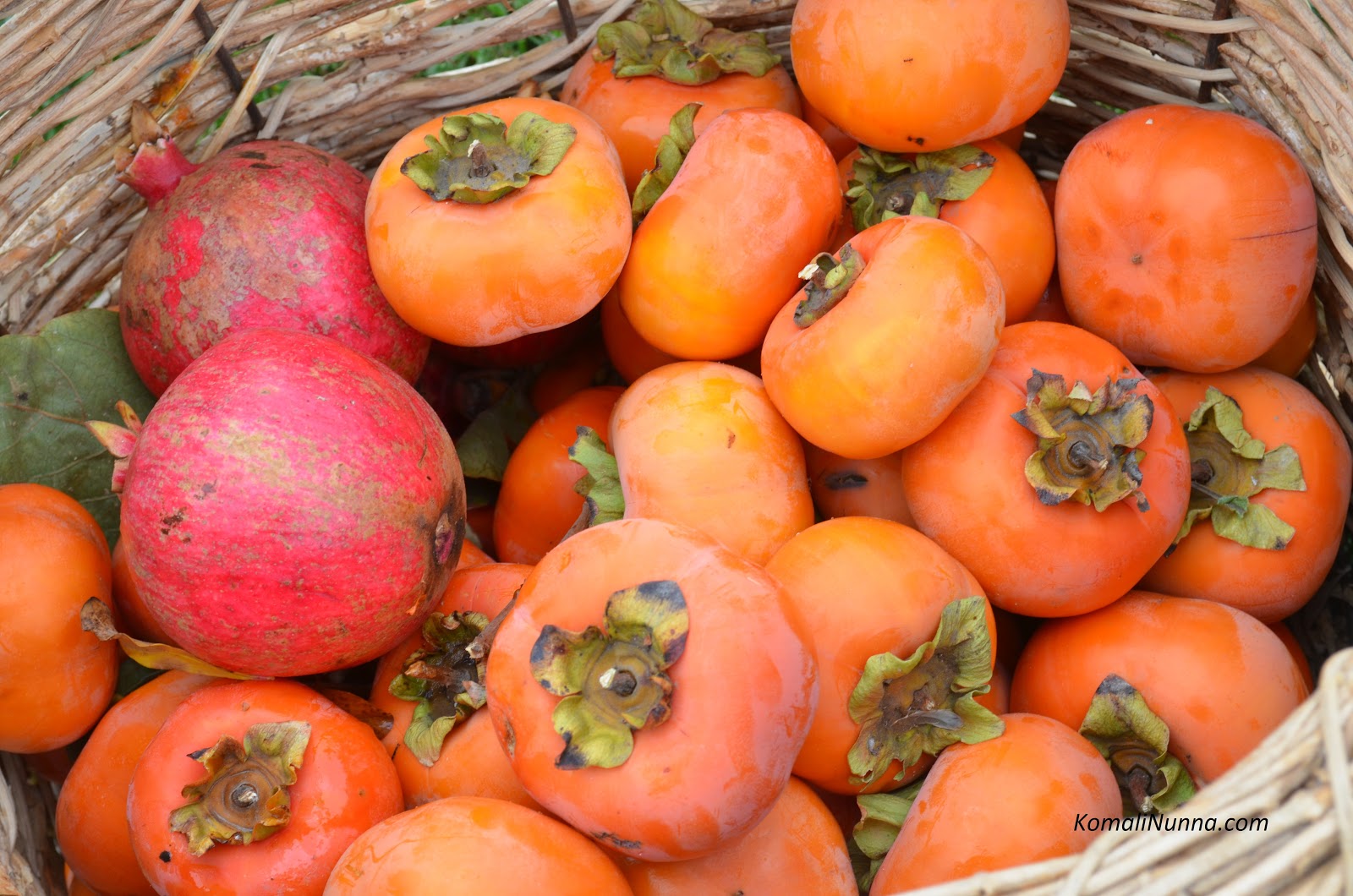 Entertaining From an Ethnic Indian Kitchen: Last Fall Harvest at the ...