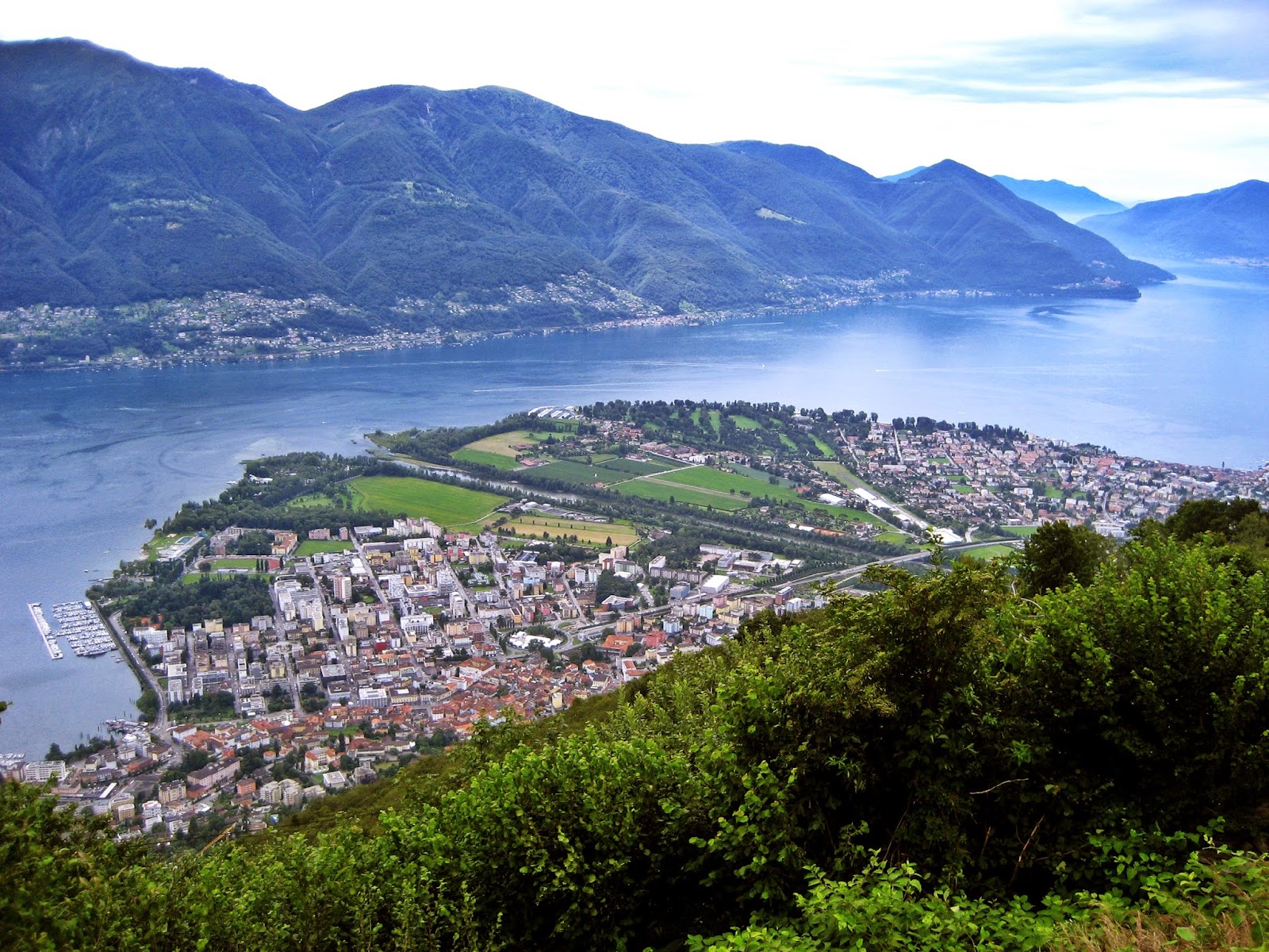 TICINO: Locarno | Lion in a coma