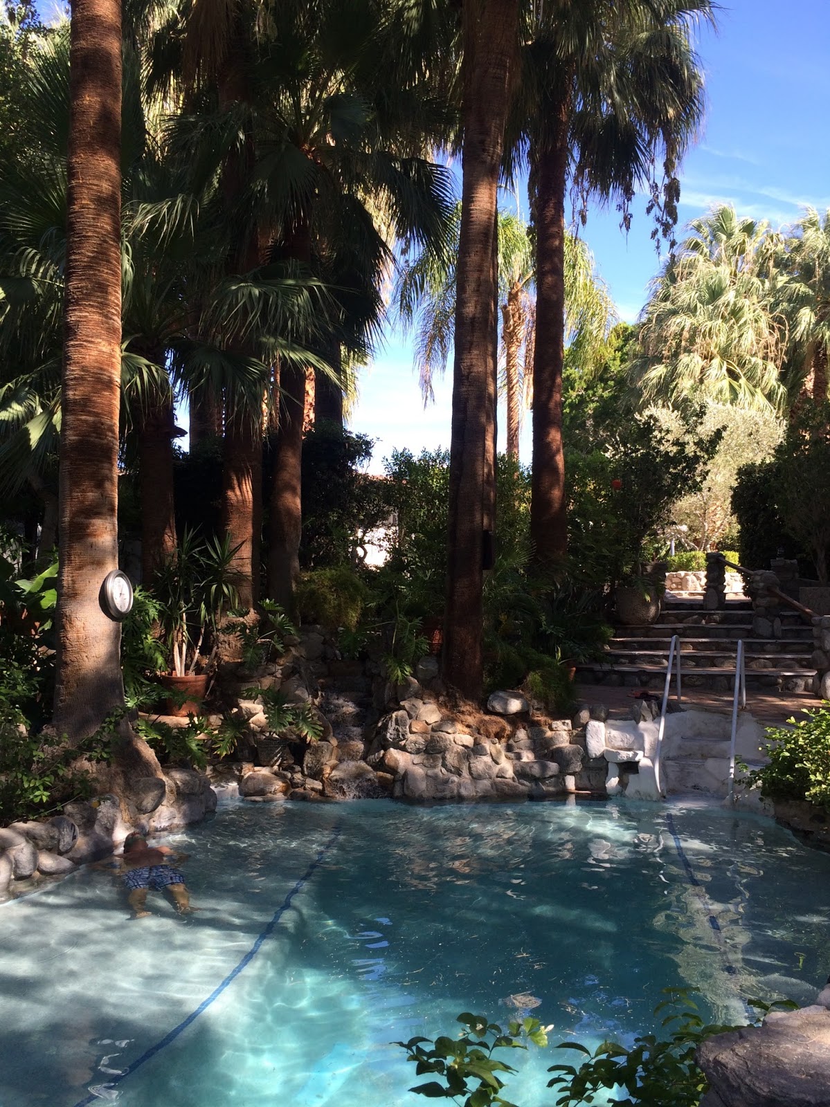 Sensory Overload: Desert Hot Springs (Roadrunners and Coyotes)