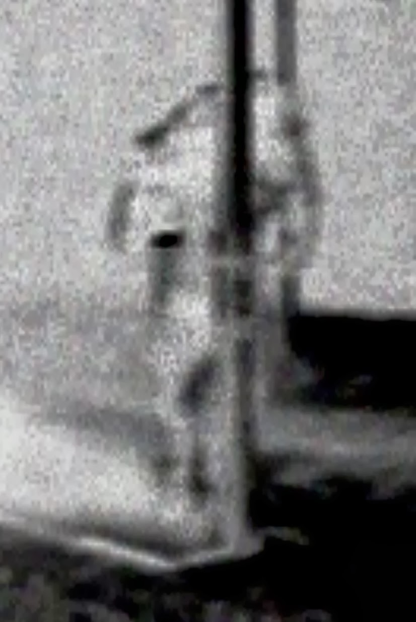 Dogman - The Monsters are Real: The "Haymarsh Dogman" Photograph