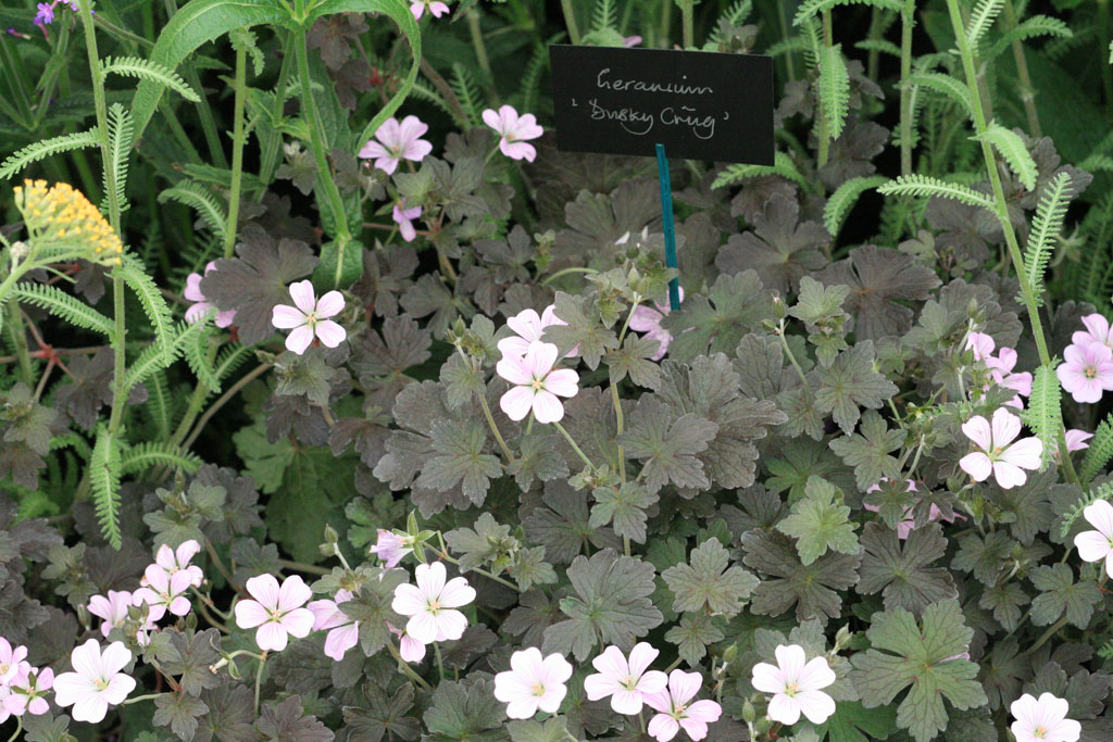 grow: RHS Hampton Court Flower Show 2015, part 2