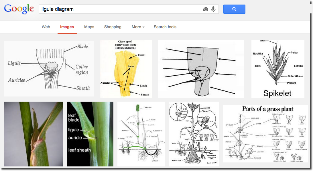 SearchReSearch: When you want to understand an obscure part.... search ...