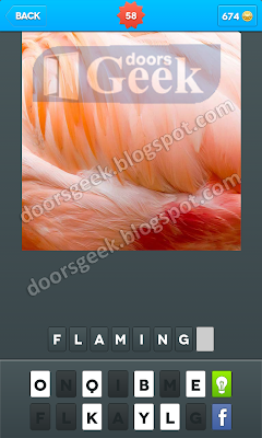 Zoomed In - Photo Word Game Level 58 ~ Doors Geek