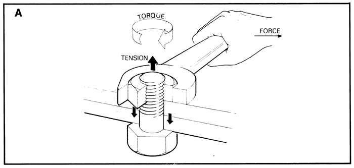 Biomecânica : Torque