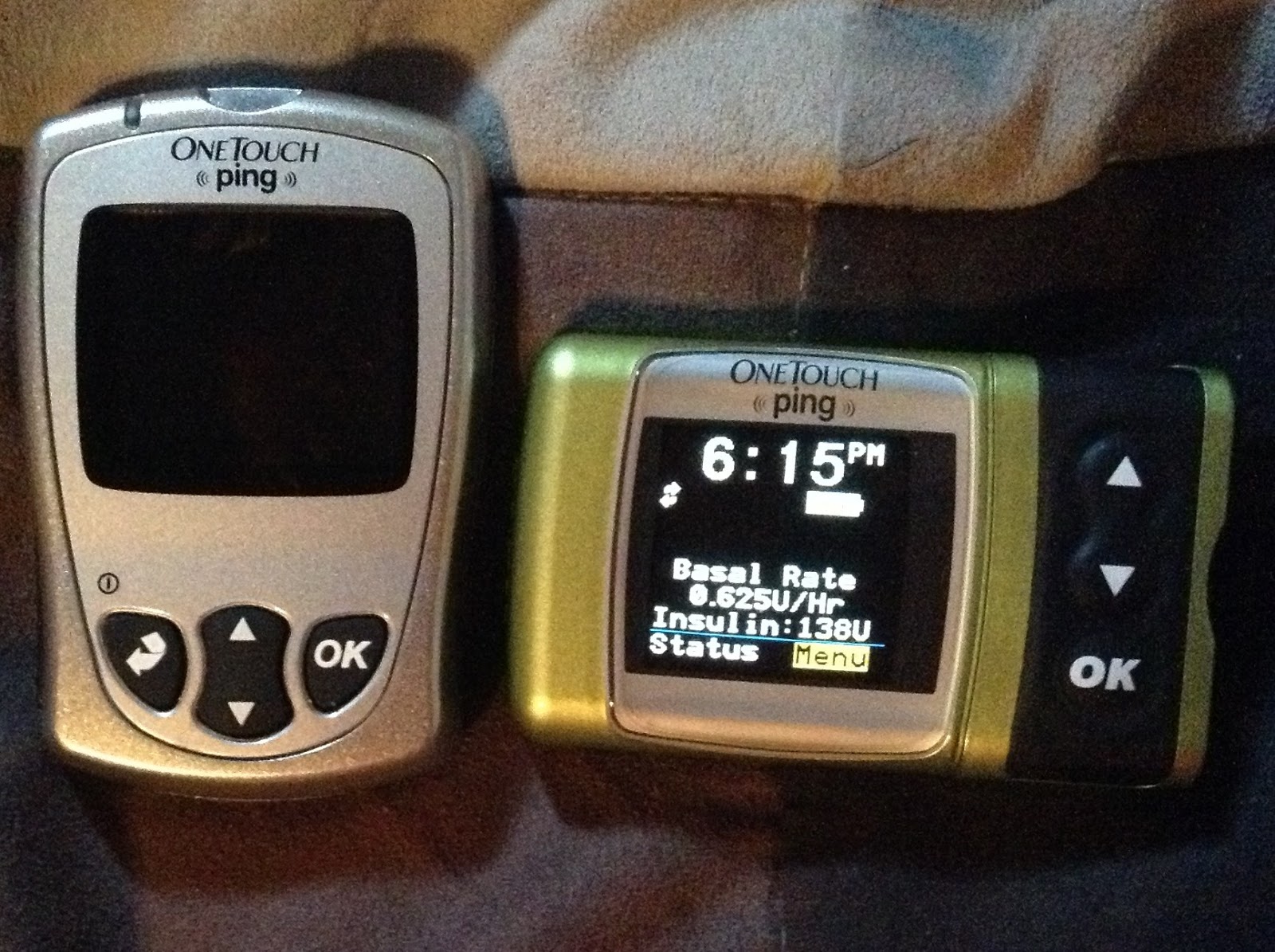 Animas One Touch Ping Review