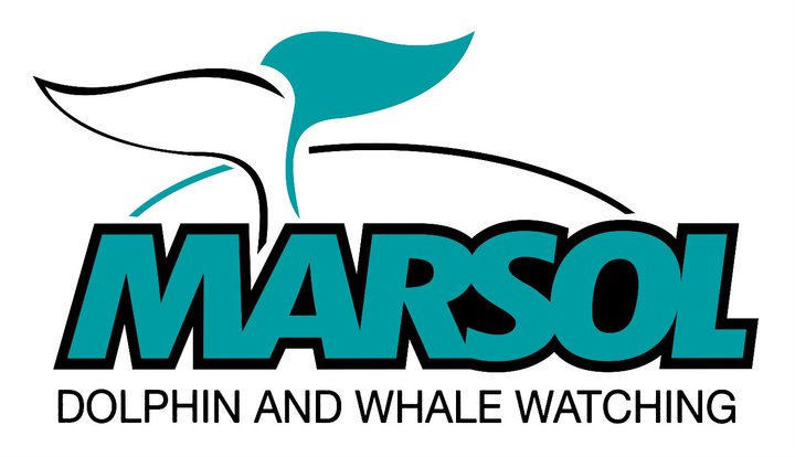 Marsol: new image...