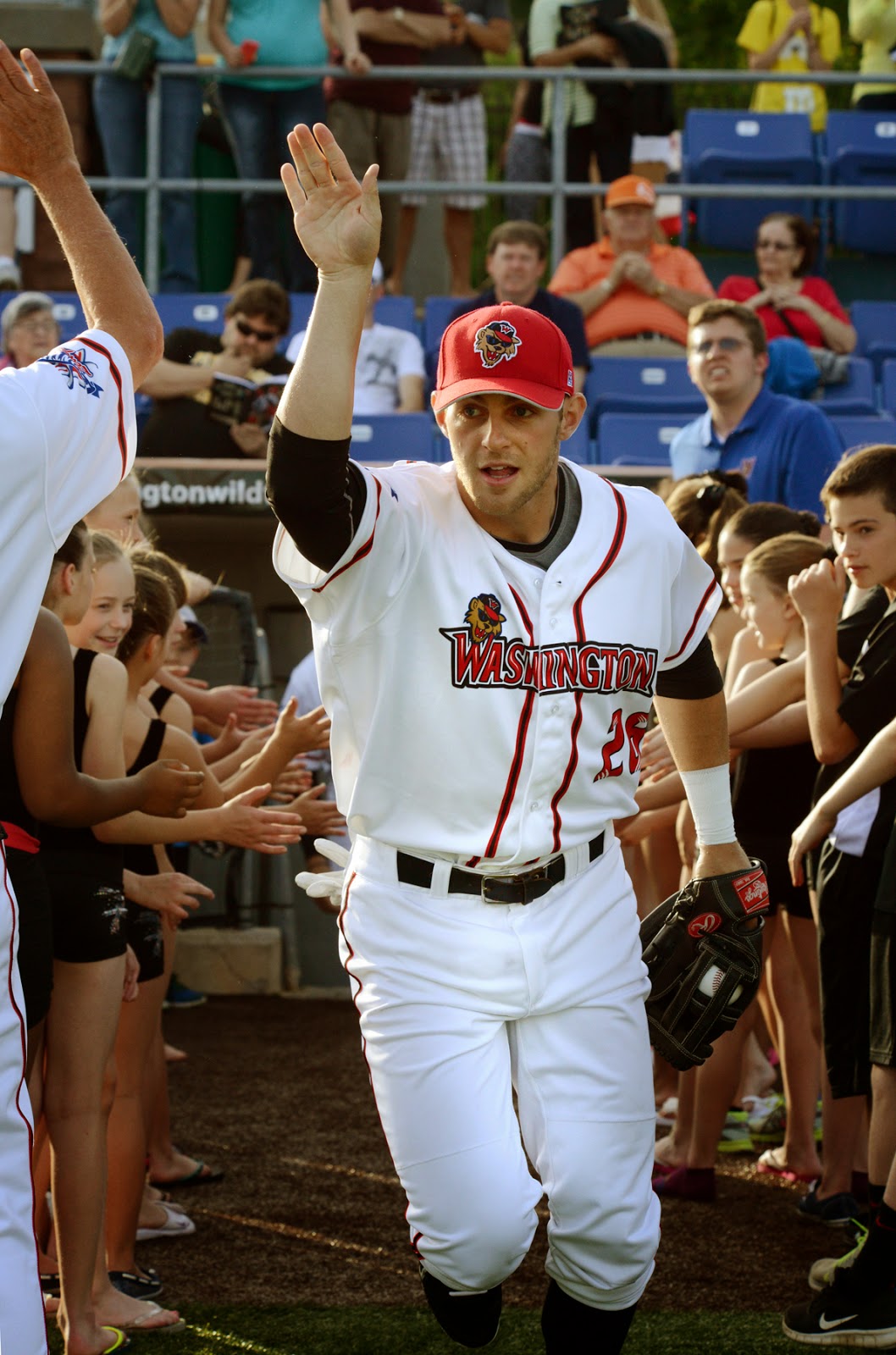 Wild about Things: June 2014