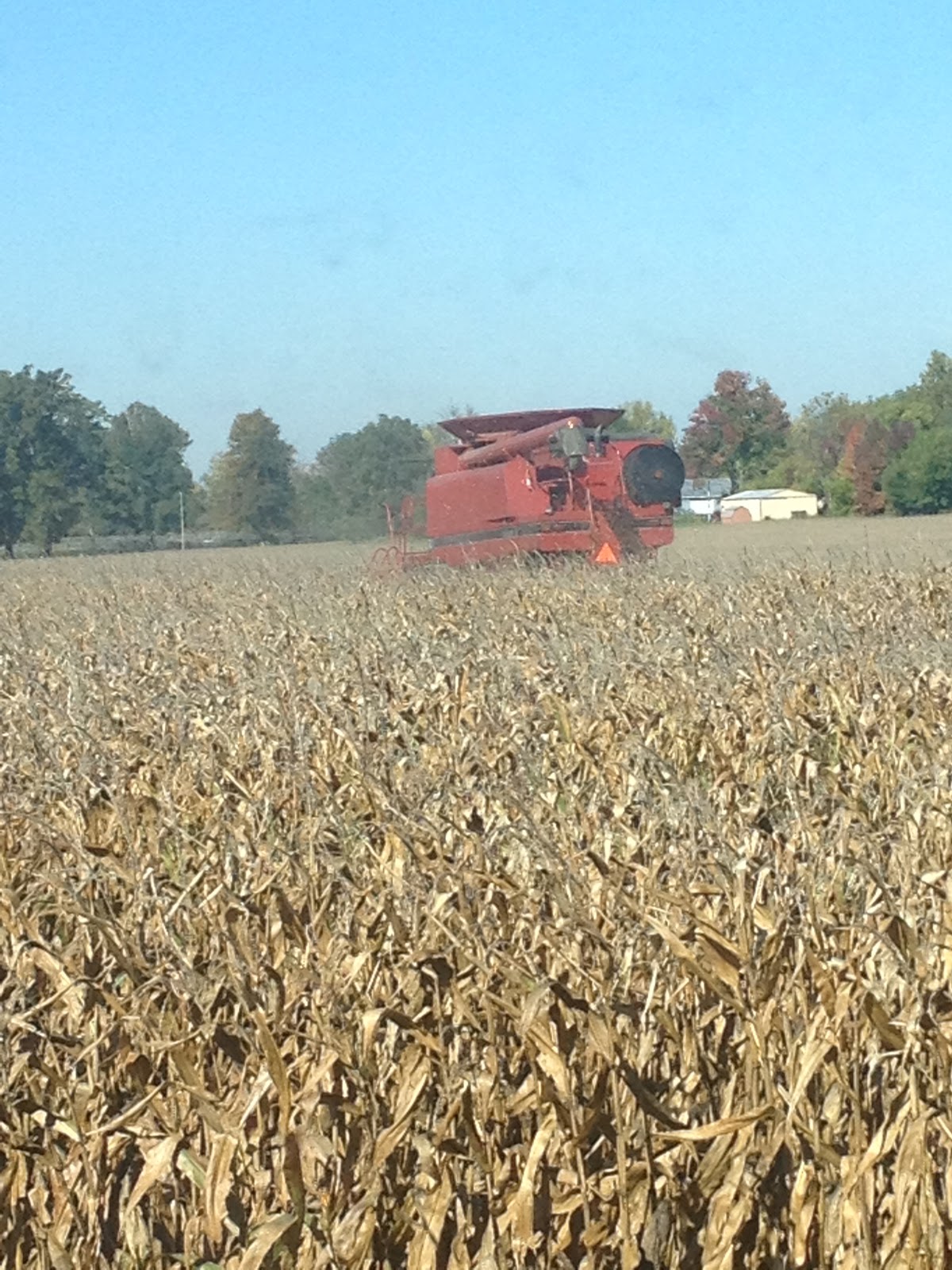 Down On The Farm: The Harvest Run